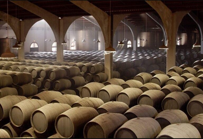 Las 10 mejores bodegas para visitar en Jerez de la Frontera ...