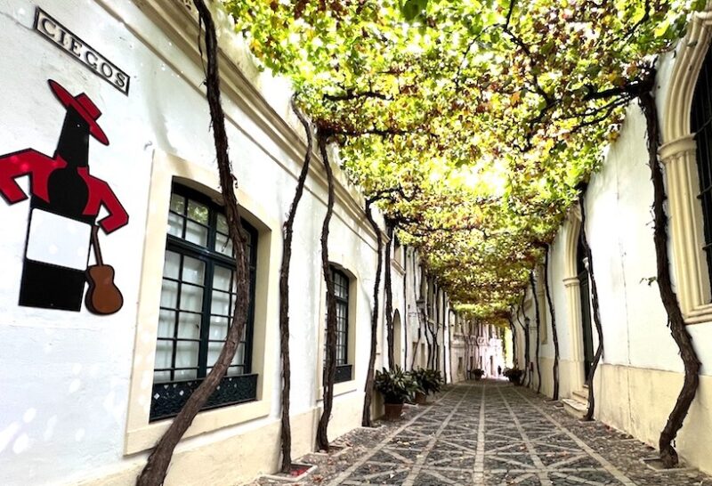 Las 10 mejores bodegas para visitar en Jerez de la Frontera ...