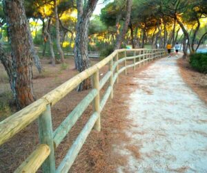 What to see and do in Punta Umbría? 10 essential places ️ ...